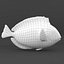 Maya Fish Animation