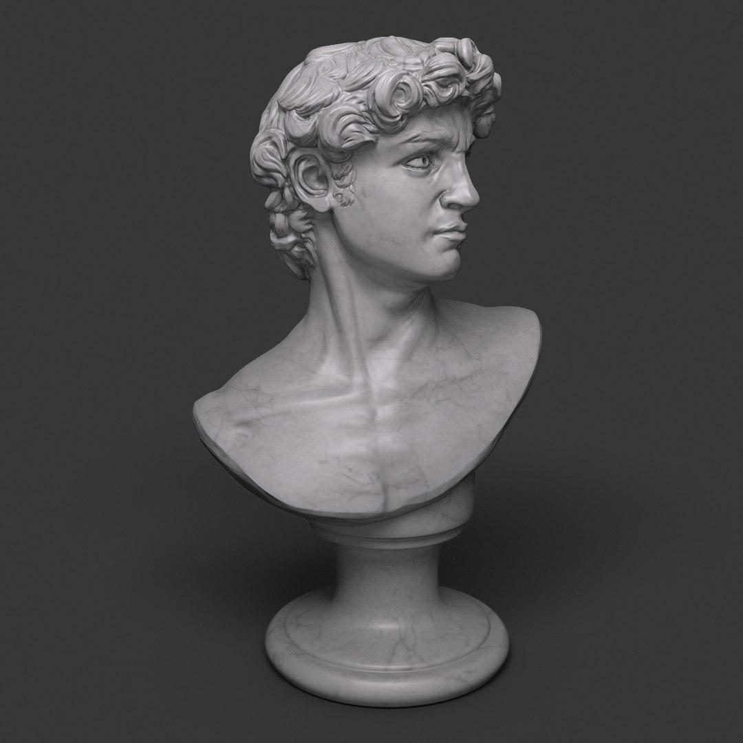 3d David Statue Bust Modeled Model