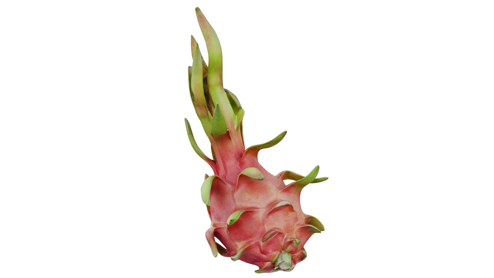 3D Dragon Fruit 12 Model - TurboSquid 1896369