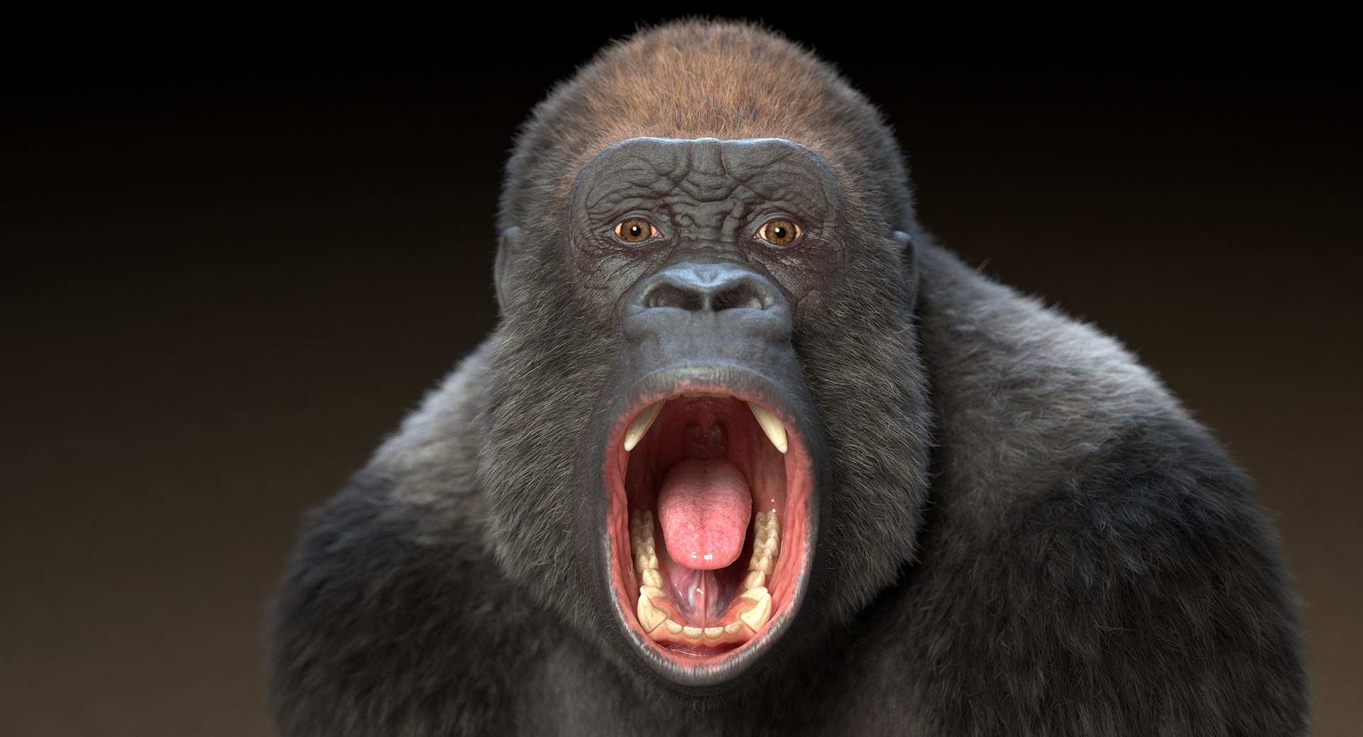 Rigged Gorilla 3d Model Turbosquid 1752118