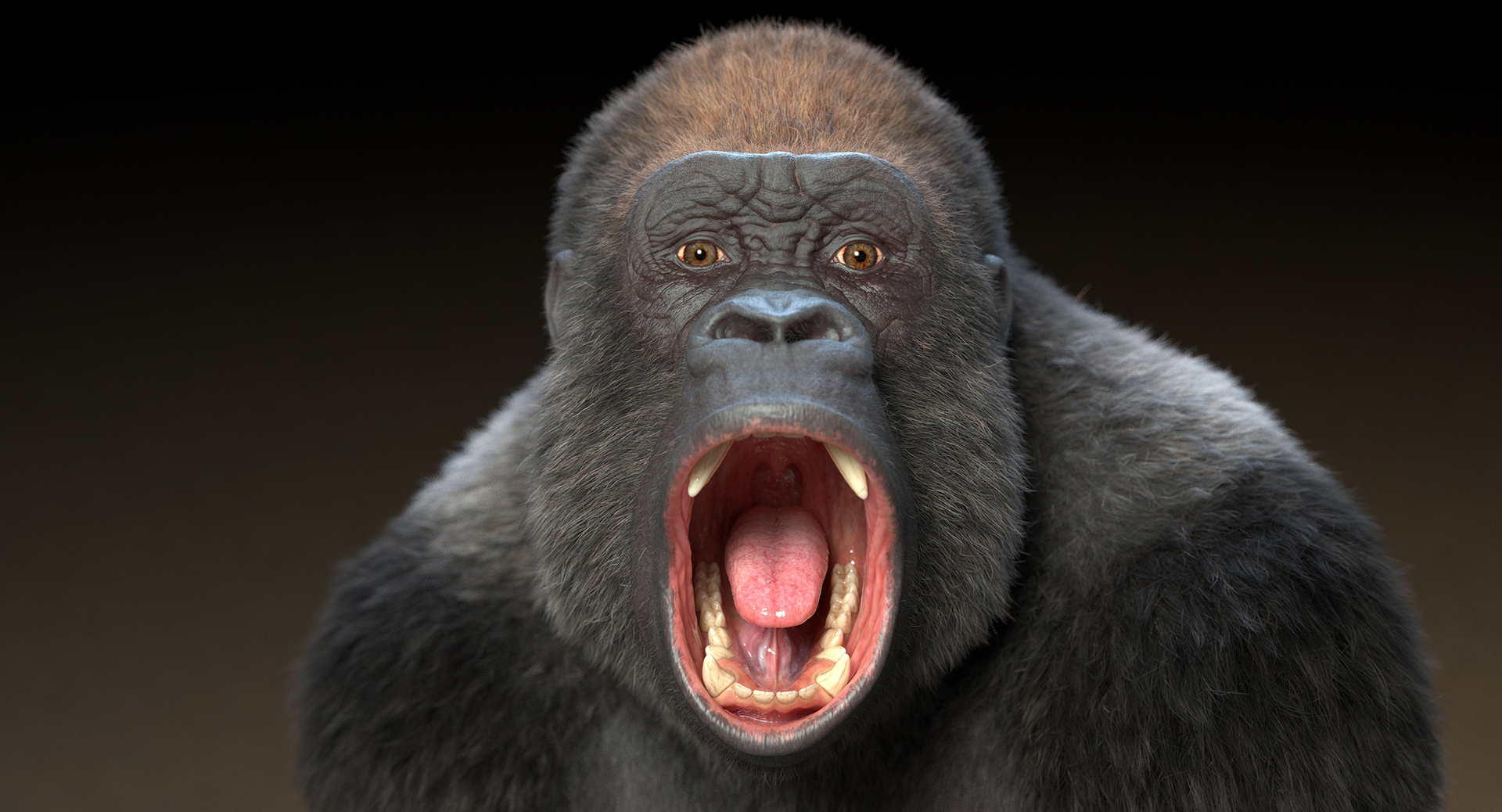 Rigged Gorilla 3D model - TurboSquid 1752118