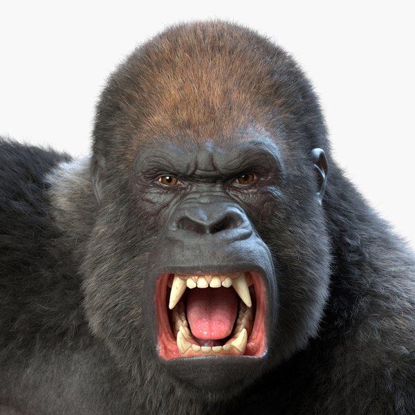 Gorilla 3D Models for Download | TurboSquid