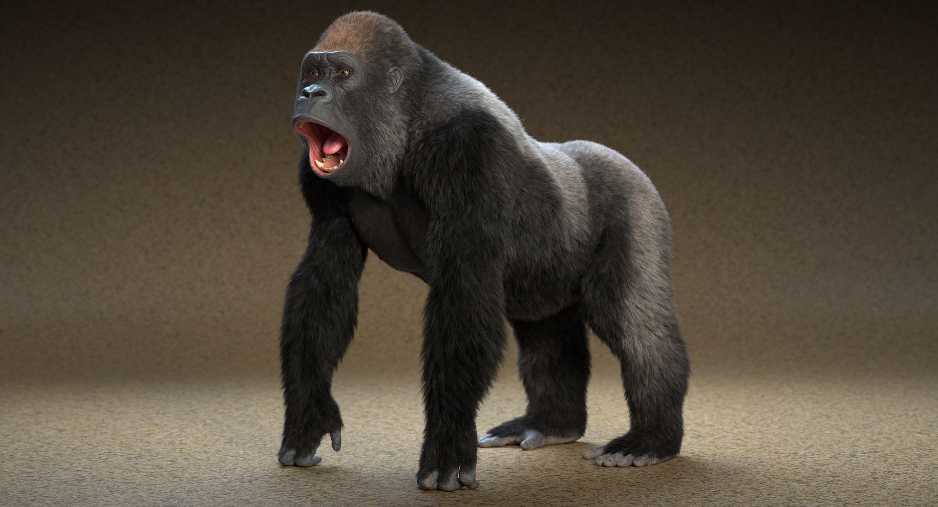 Rigged Gorilla 3d Model Turbosquid 1752118