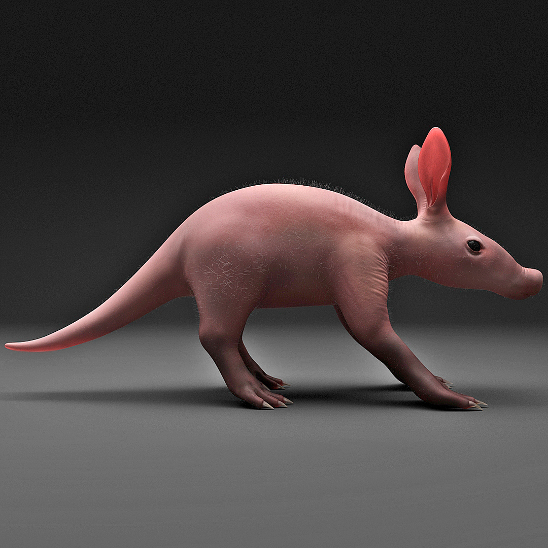 3dsmax baby aardvark