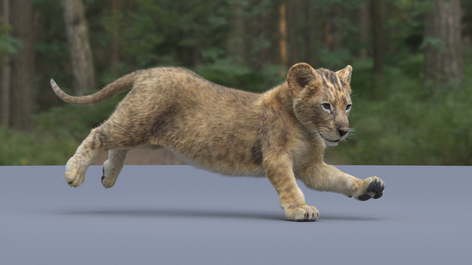 3D Lion Cub AMINATED - TurboSquid 2161169
