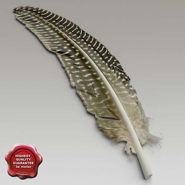 bird feather v2 3d model