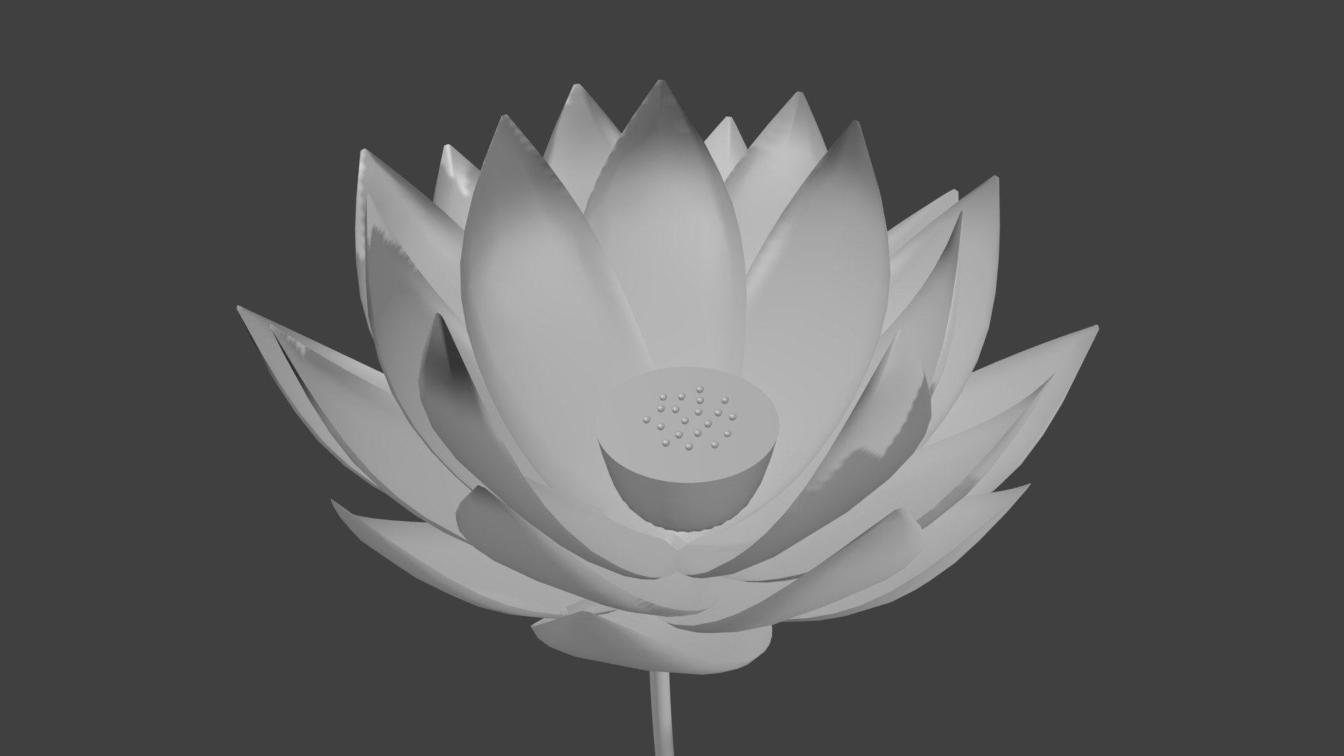 Lily Flower 3d Model