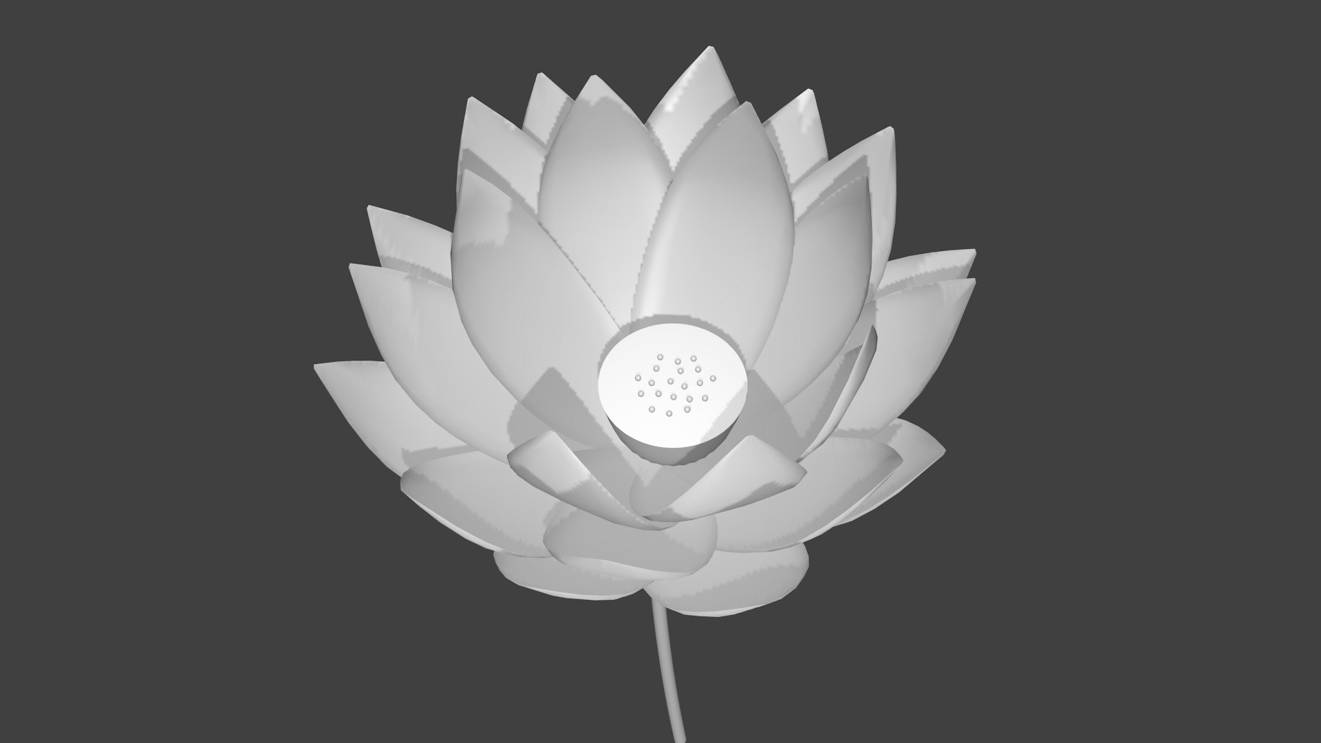 Lily Flower 3d Model