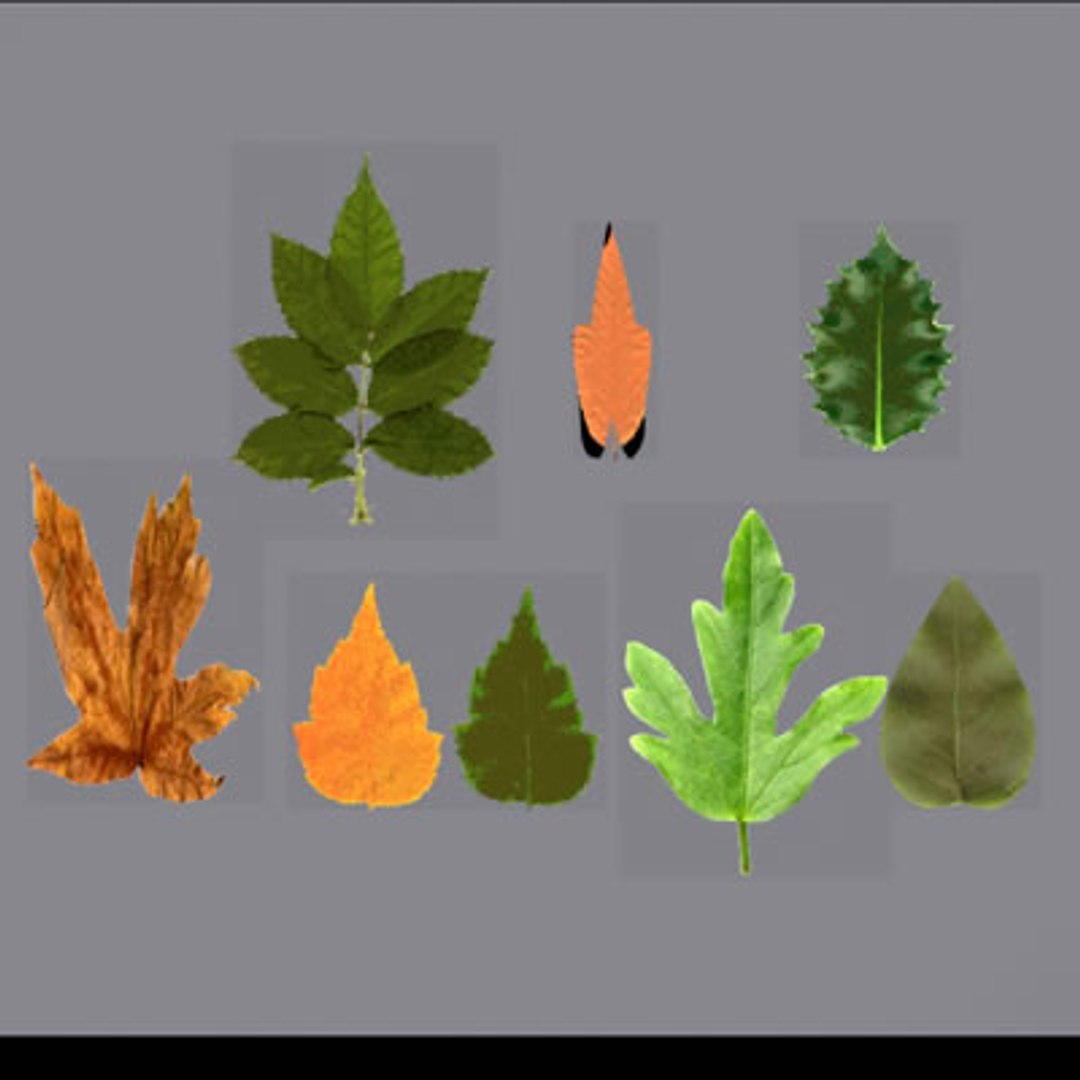 Leaf Opacity 3d Max