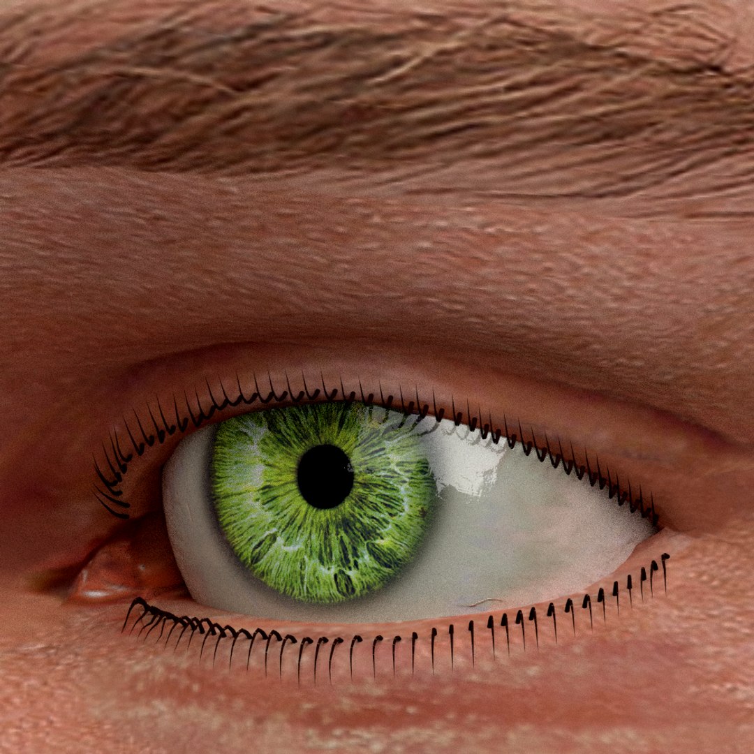 Male head arthur 3D model - TurboSquid 1284479