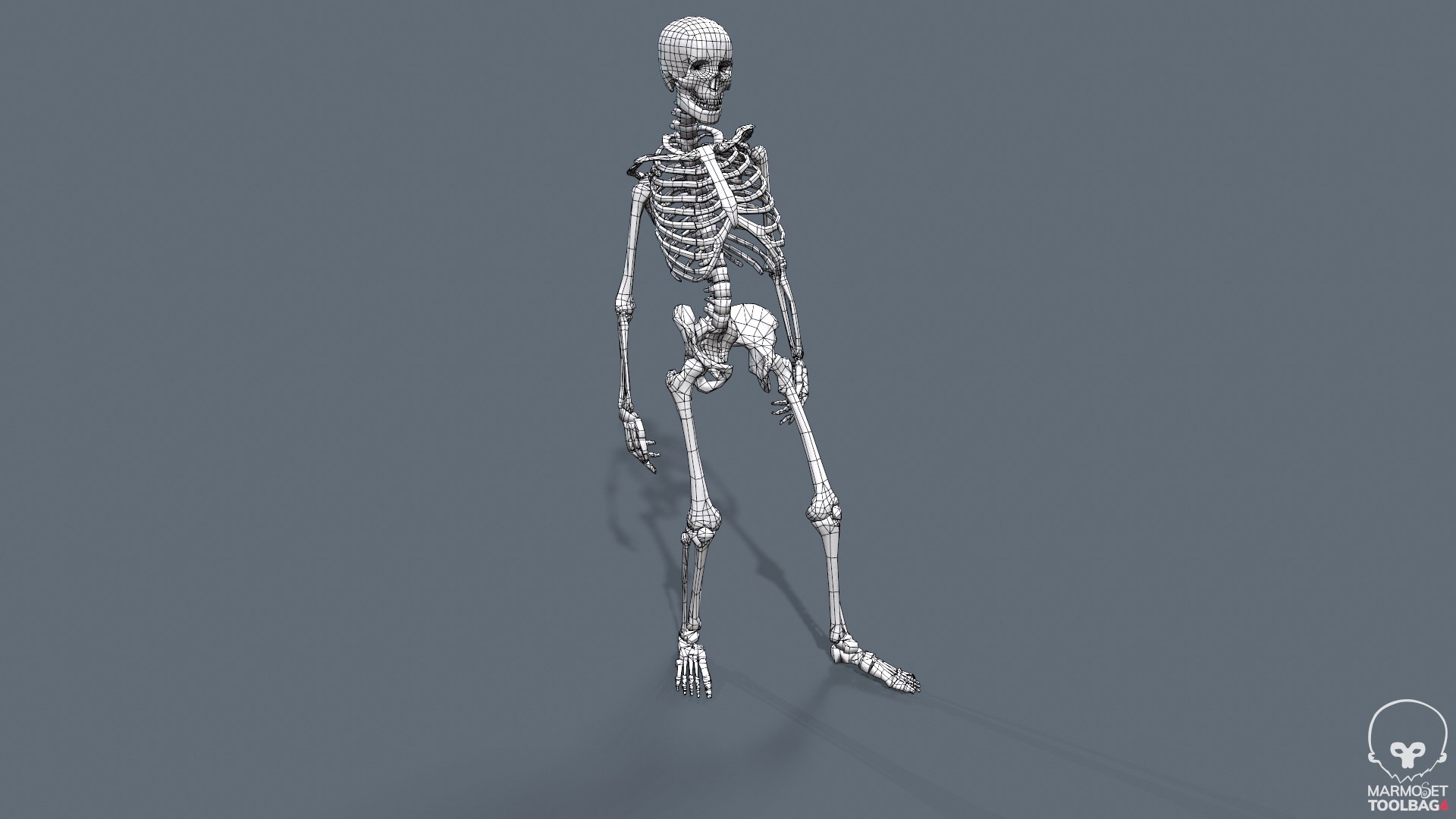 Animated Skeletons model - TurboSquid 1774721