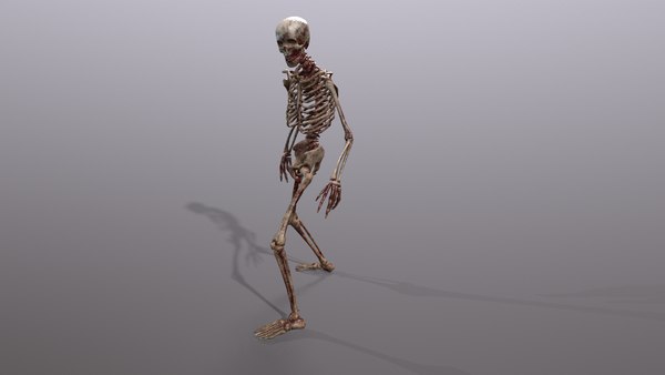 Animated Skeletons model - TurboSquid 1774721