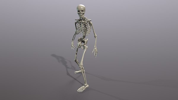 Animated Skeletons model - TurboSquid 1774721