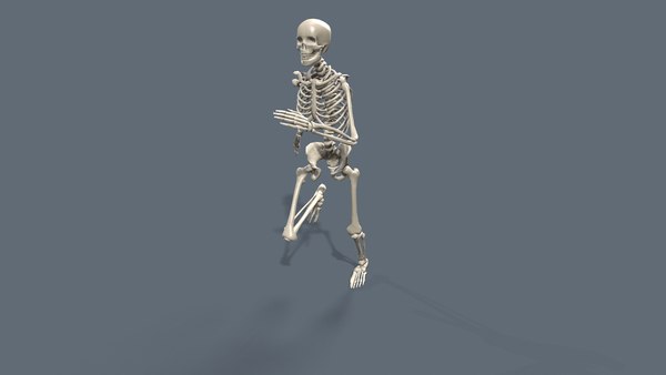 Animated Skeletons model - TurboSquid 1774721