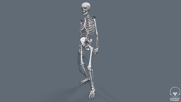 Animated Skeletons model - TurboSquid 1774721