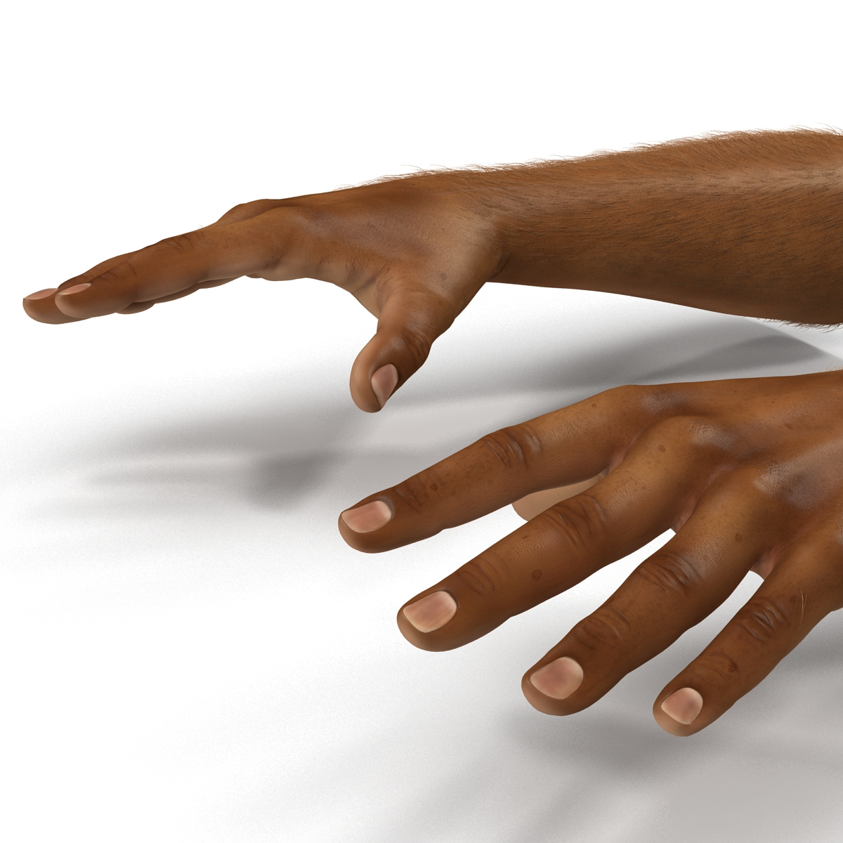 african man hands 3 3d model