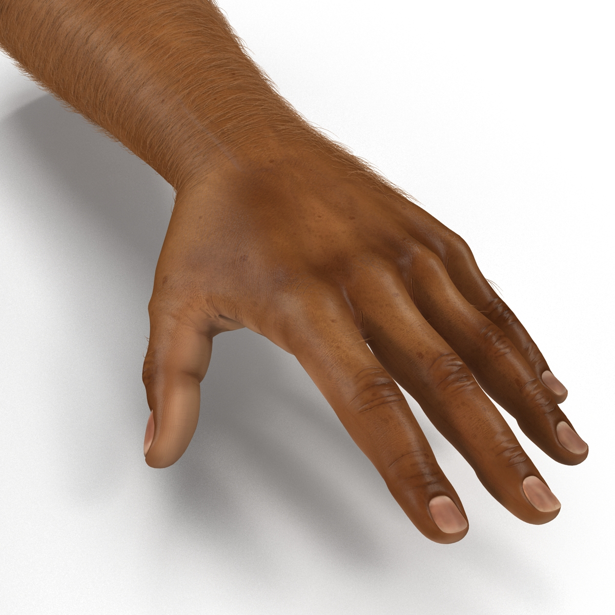 african man hands 3 3d model