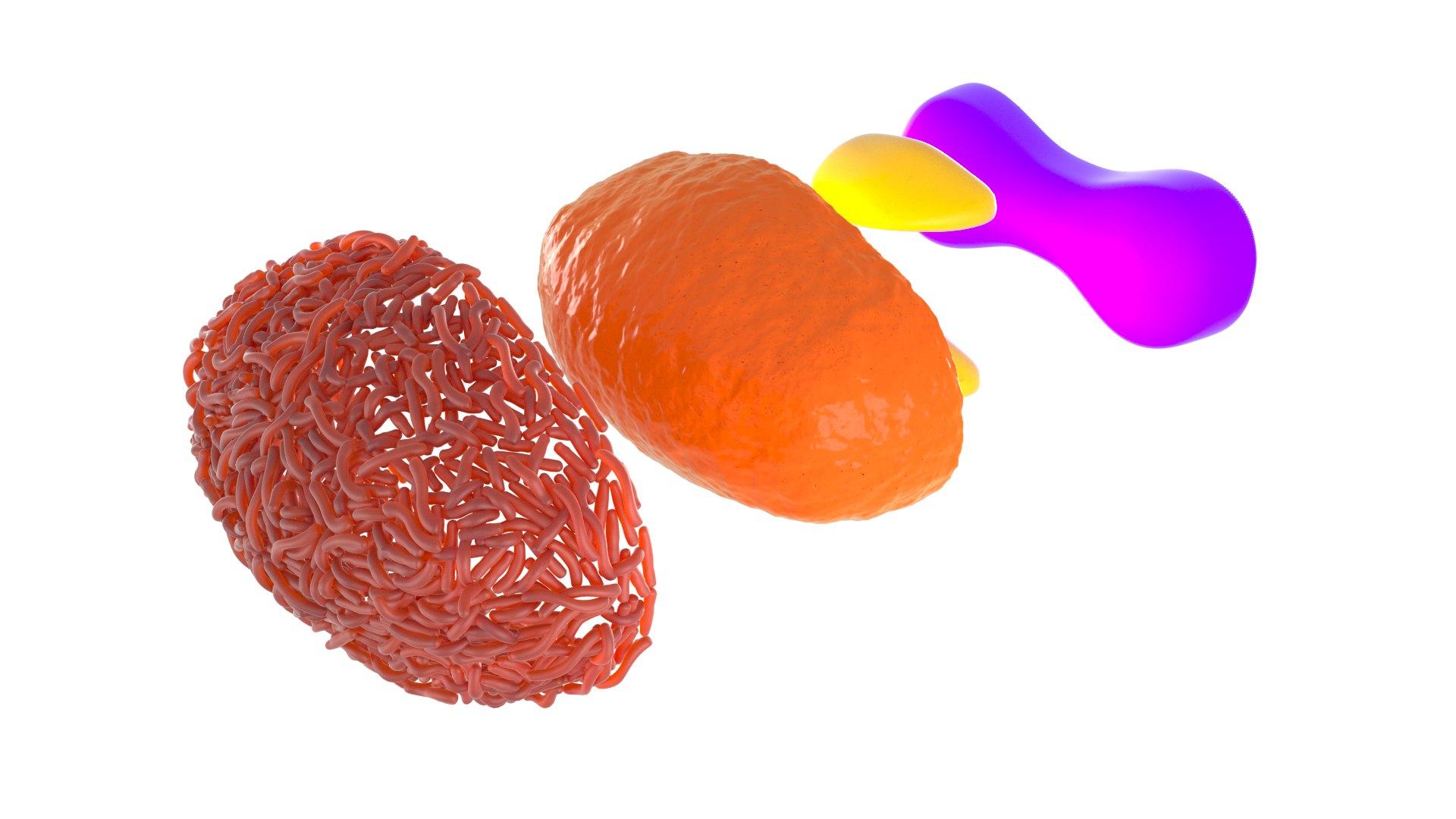 3D Monkeypox Virus Smallpox Model - TurboSquid 1907442