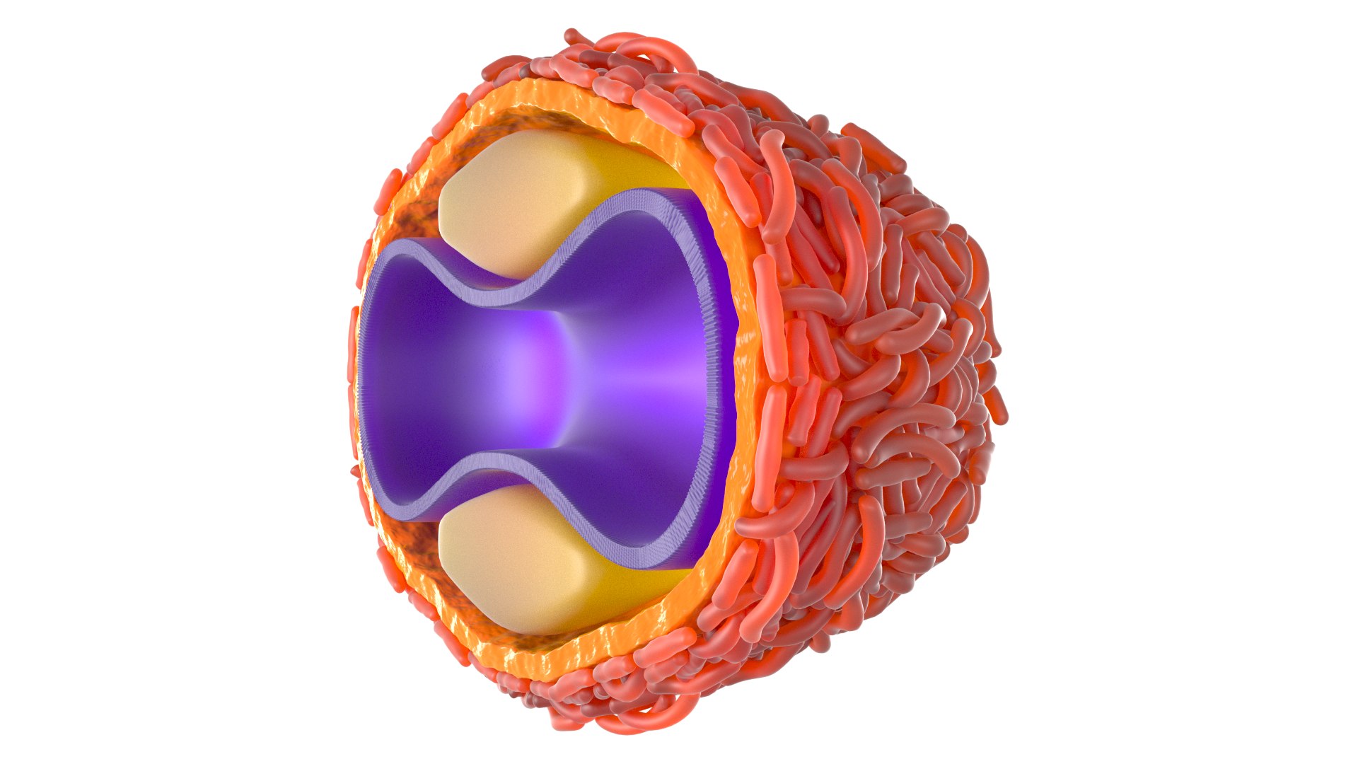 3D Monkeypox Virus Smallpox Model - TurboSquid 1907442