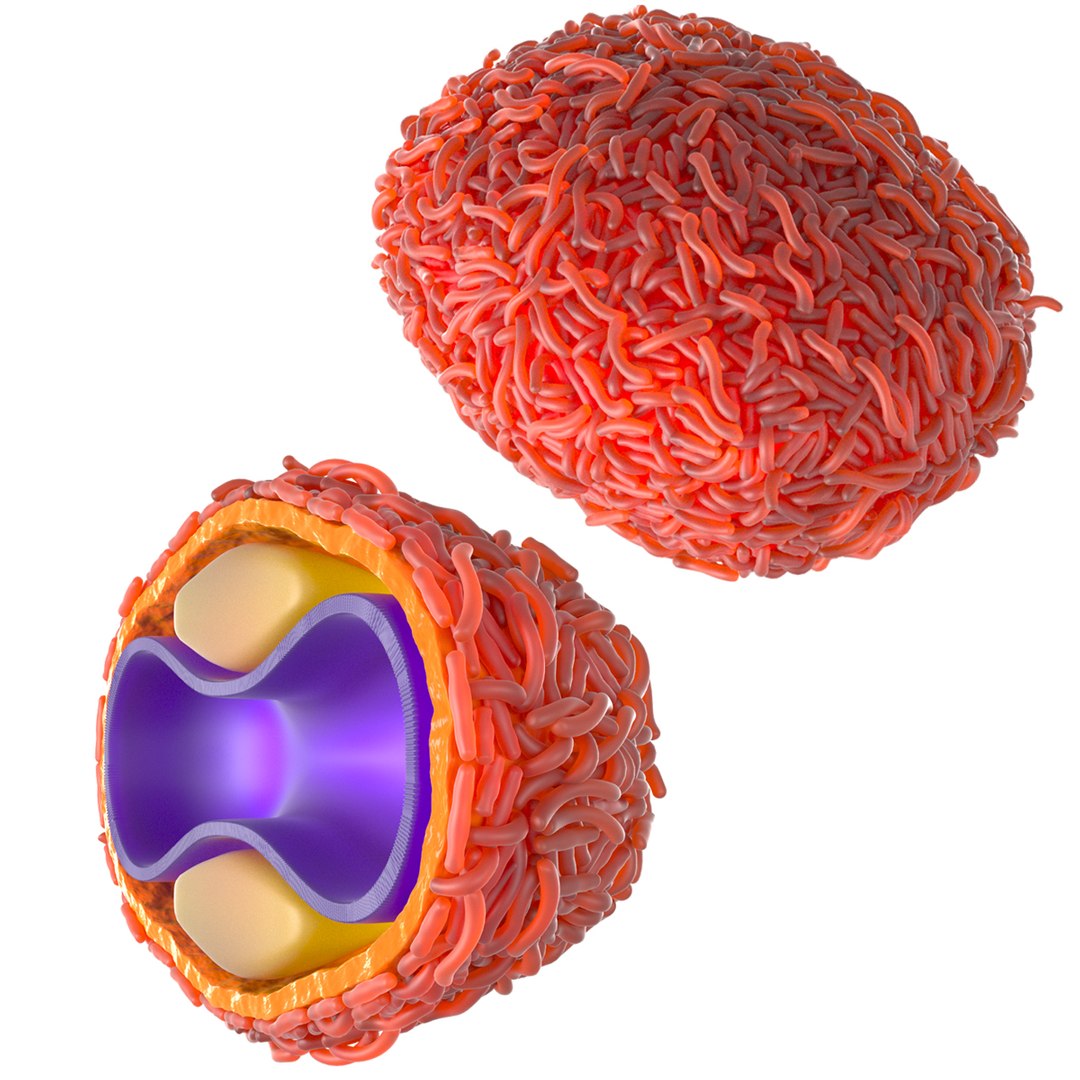 3D Monkeypox Virus Smallpox Model - TurboSquid 1907442