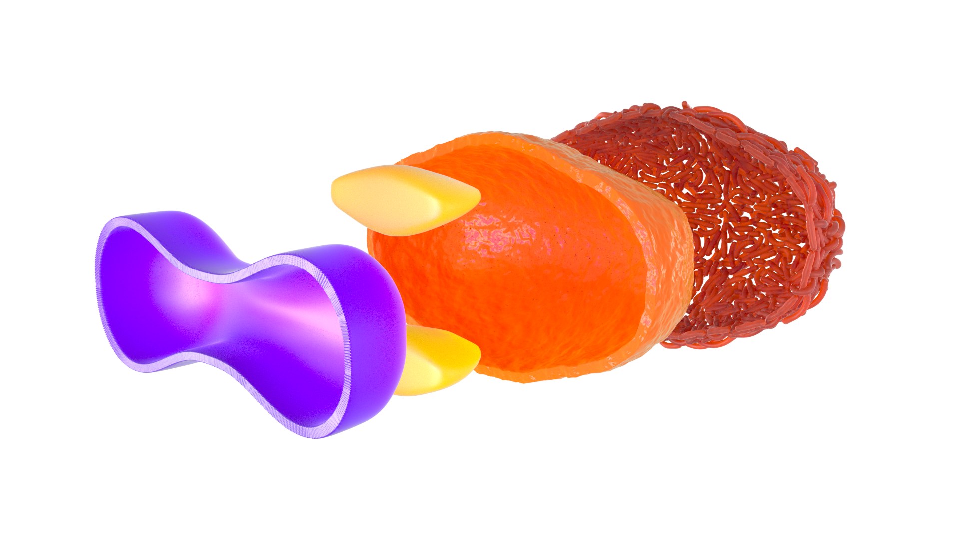 3D Monkeypox Virus Smallpox Model - TurboSquid 1907442