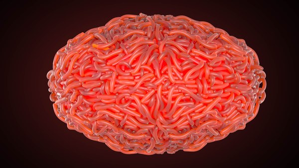 3D Monkeypox Virus Smallpox model - TurboSquid 1907442