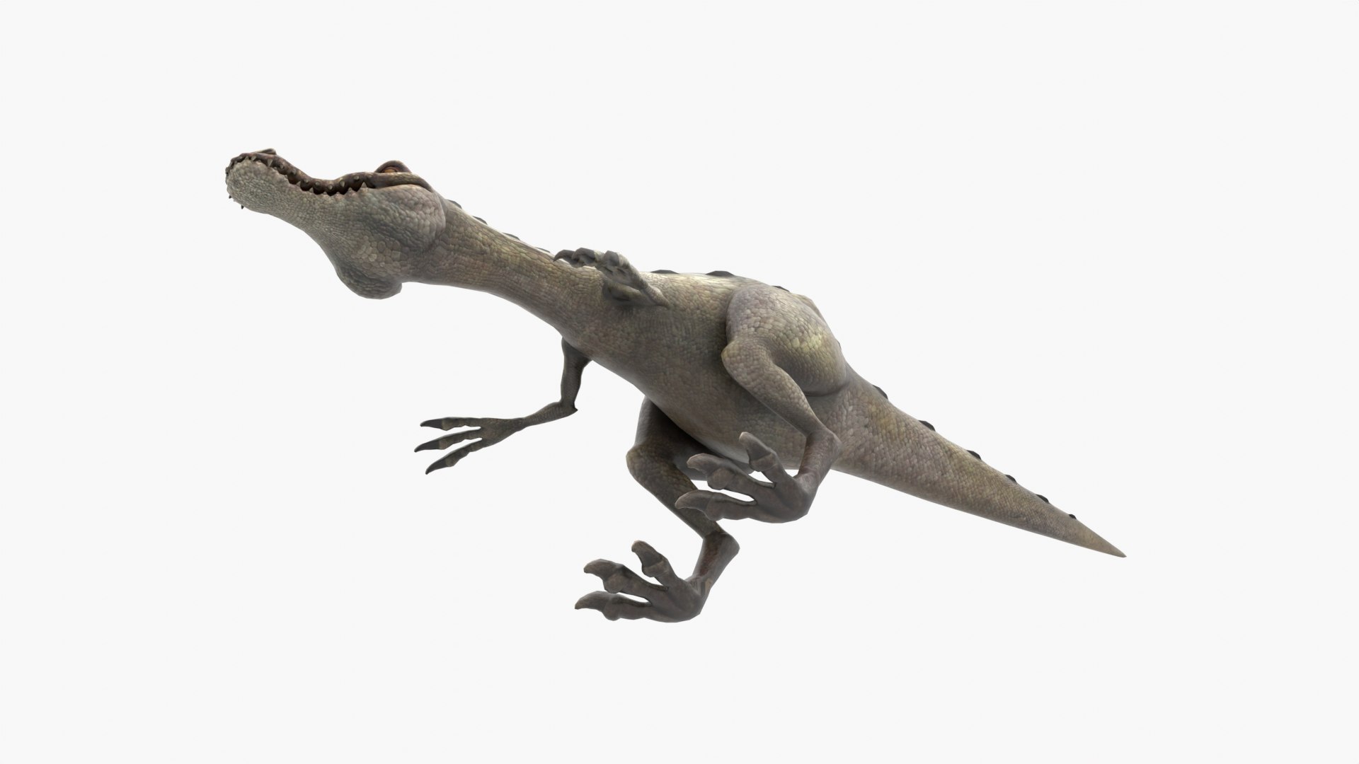 Rudy - Ice Age 3D Model - TurboSquid 2398991