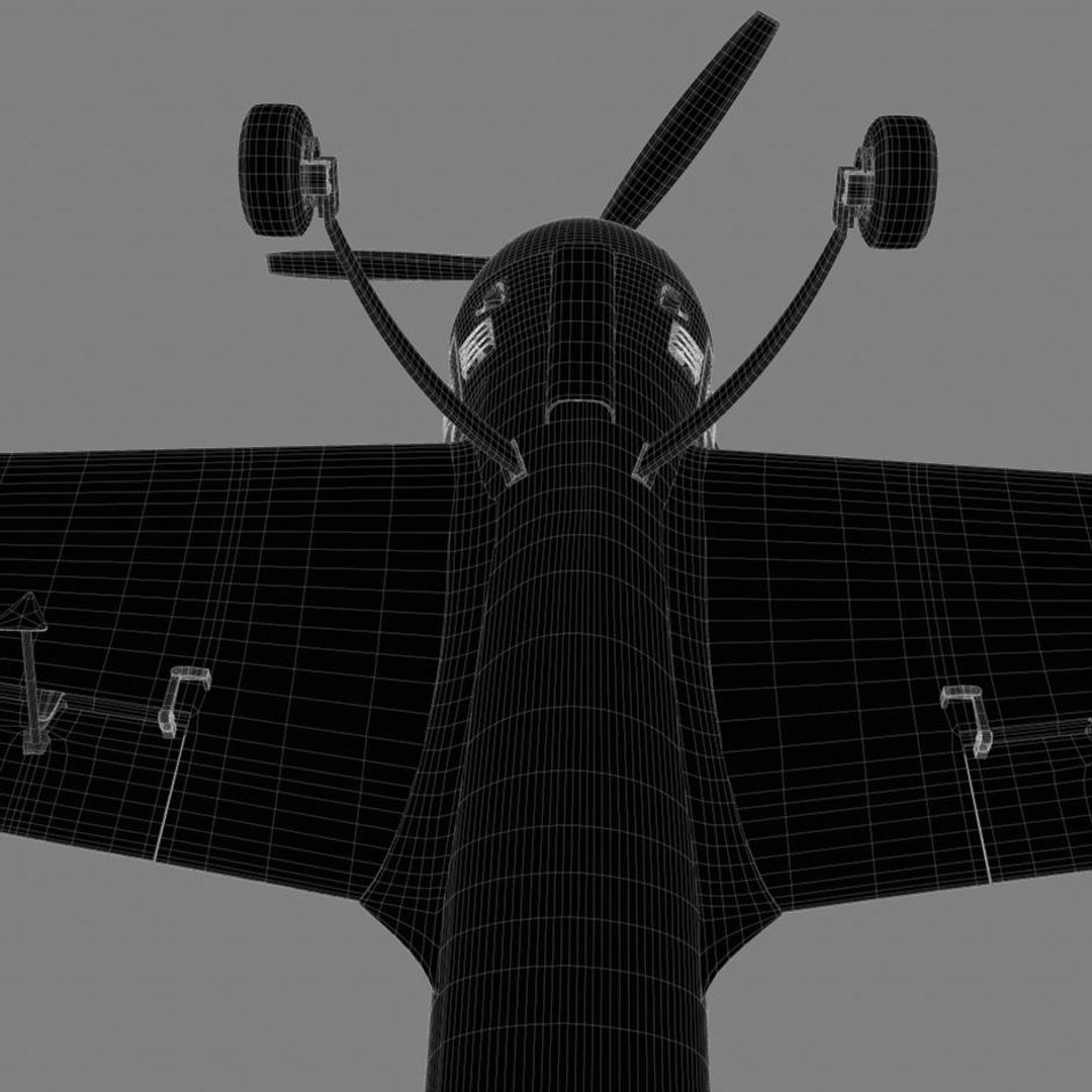 3d model sukhoi stunt plane