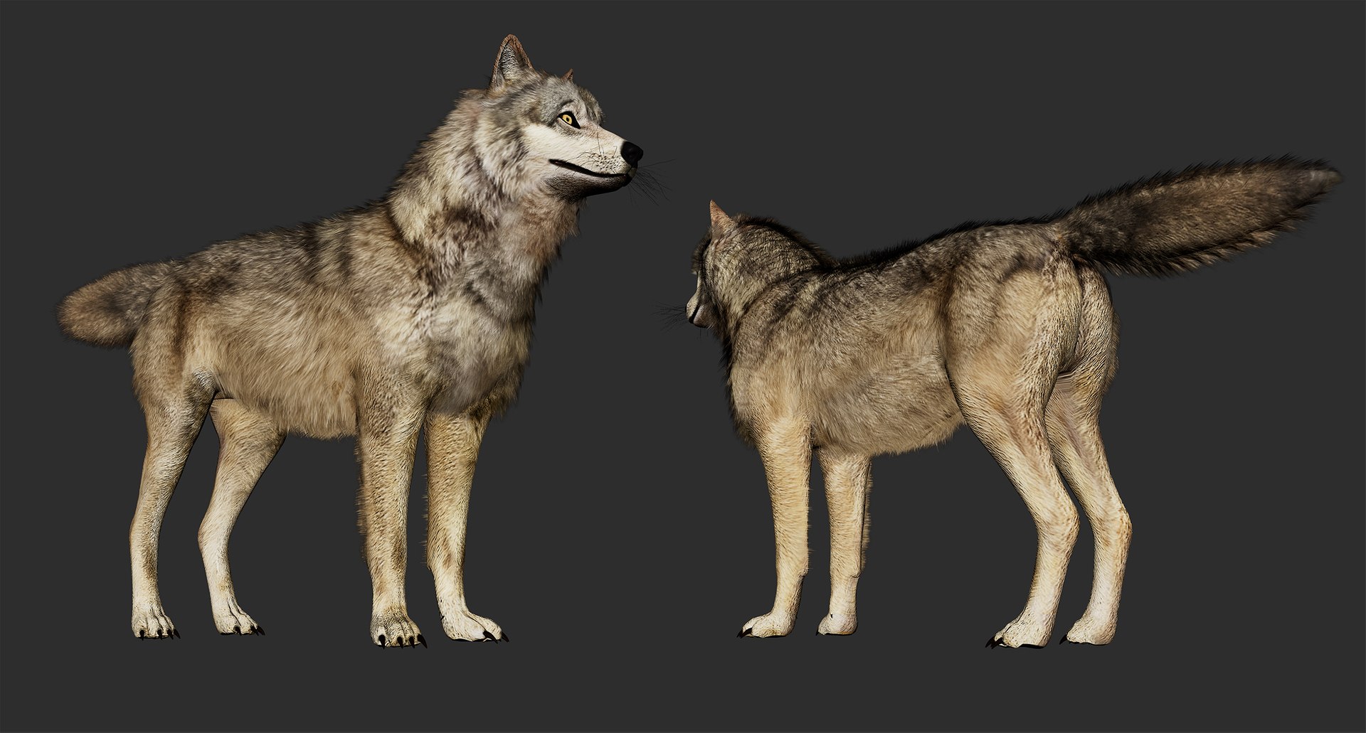 Realistic Wolf Game Ready Character Model - TurboSquid 2578430