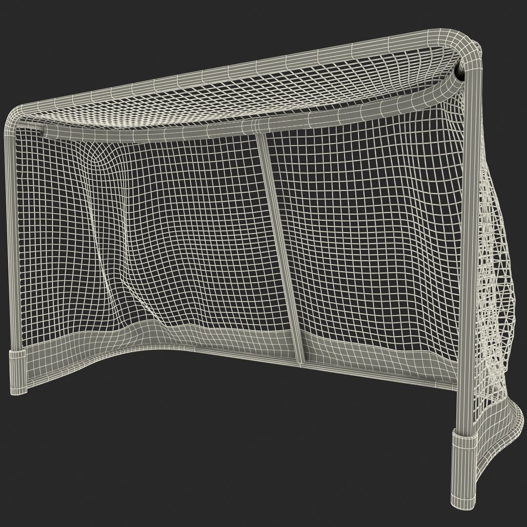 3d Model Hockey Gates