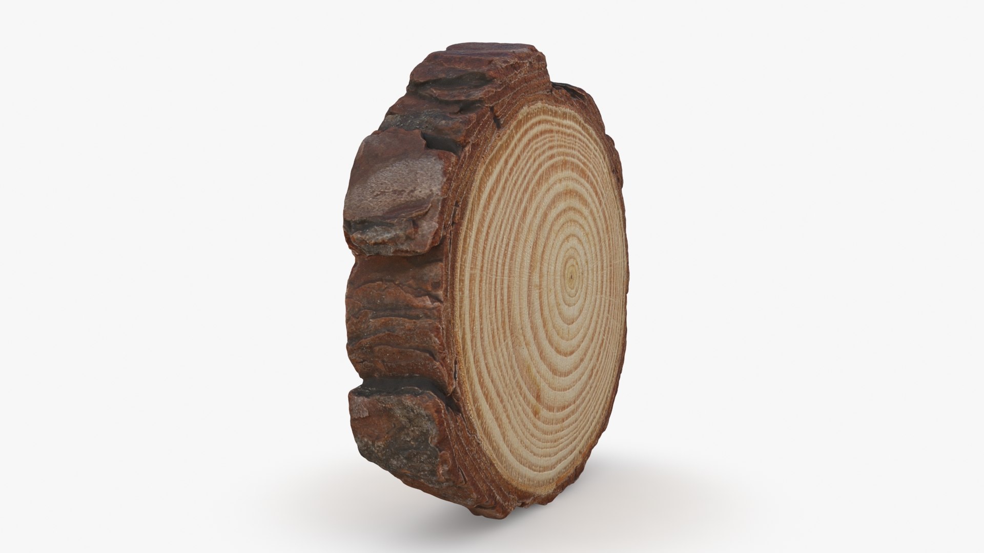Rustic Wood Slice Model - TurboSquid 2291611