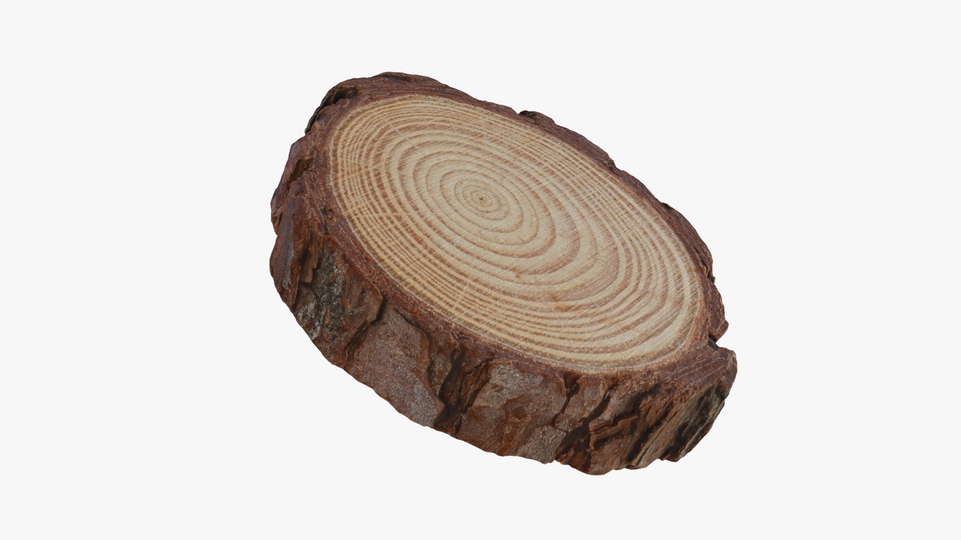 Rustic Wood Slice Model - TurboSquid 2291611
