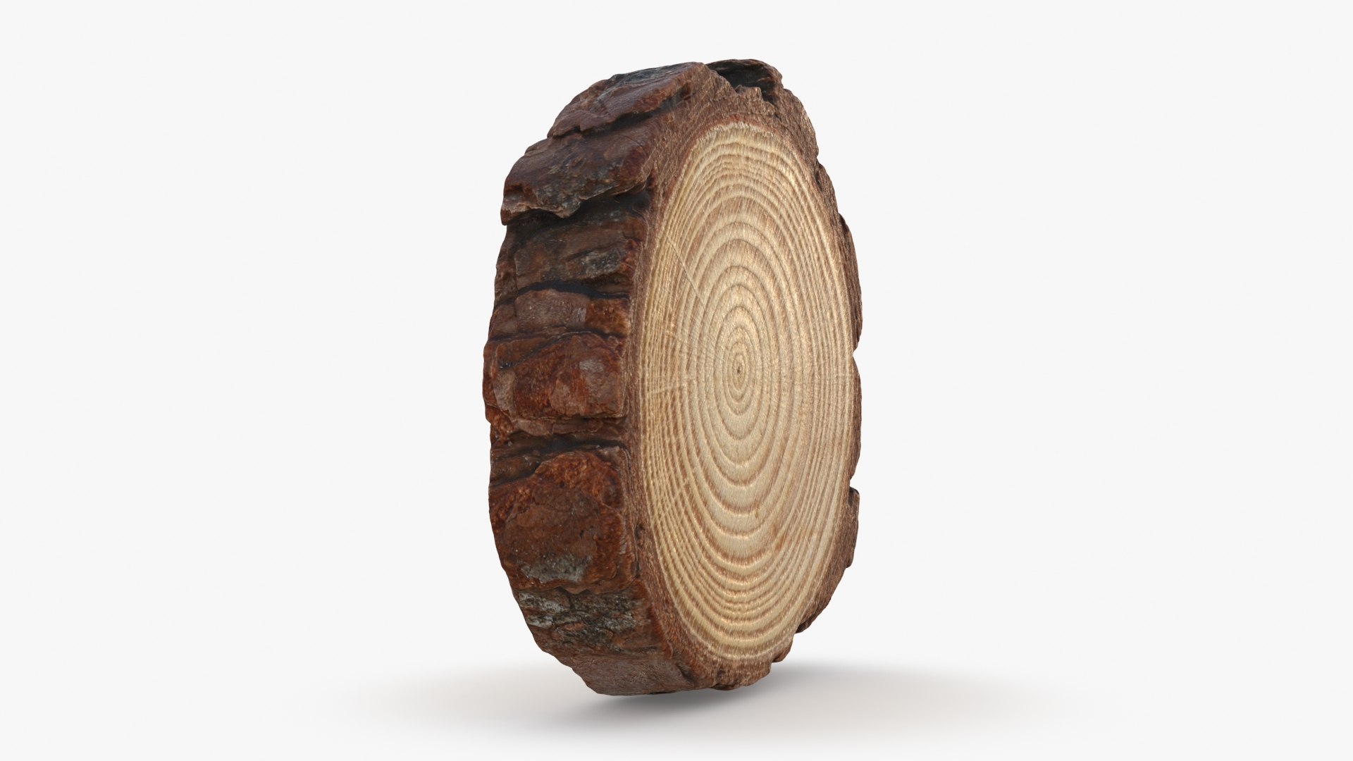 Rustic Wood Slice Model - TurboSquid 2291611