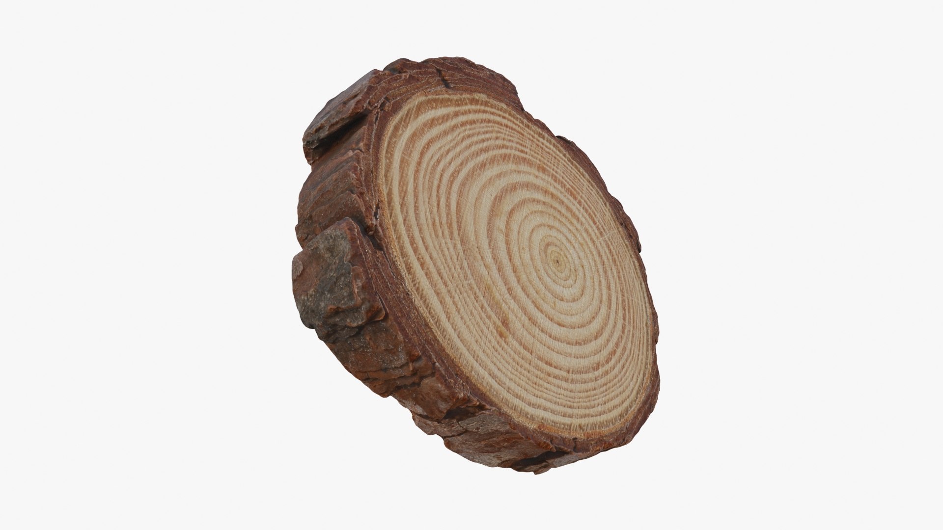 Rustic Wood Slice Model - TurboSquid 2291611