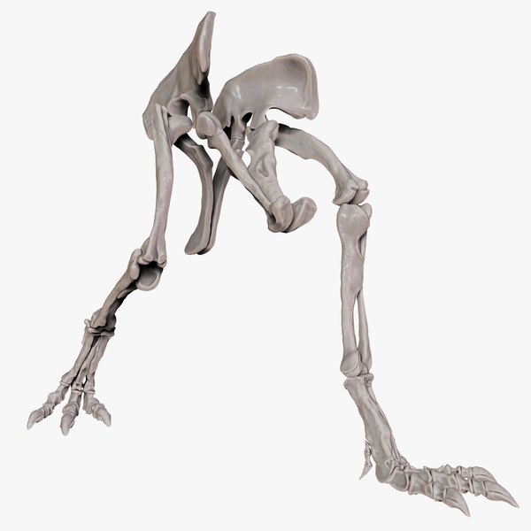 Spinosaurus 2020 version Hip Leg Set Skeletons Sculpt Project model ...