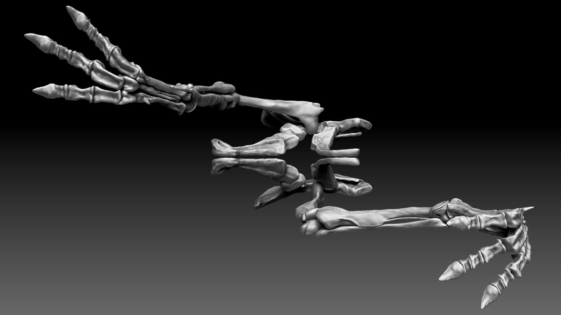 Spinosaurus 2020 version Hip Leg Set Skeletons Sculpt Project model ...