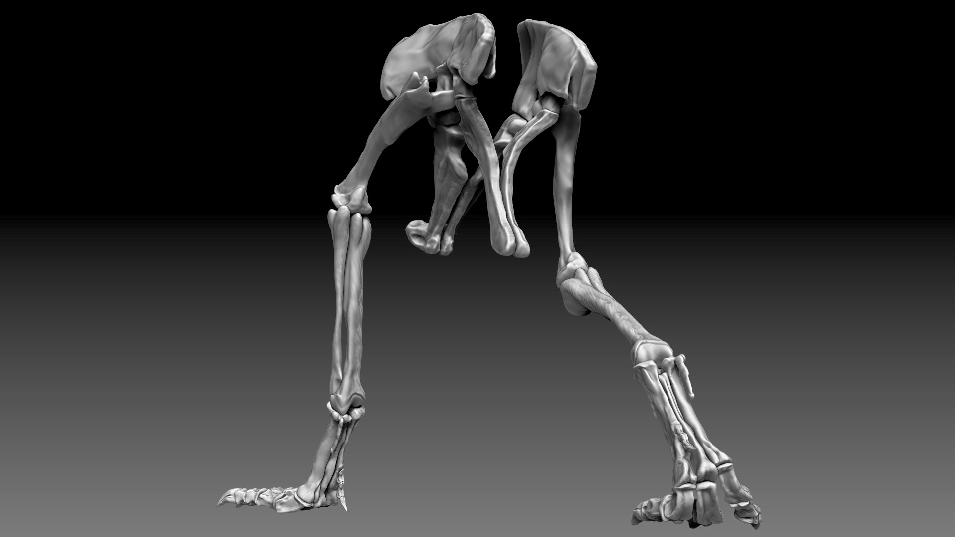 Spinosaurus 2020 version Hip Leg Set Skeletons Sculpt Project model ...