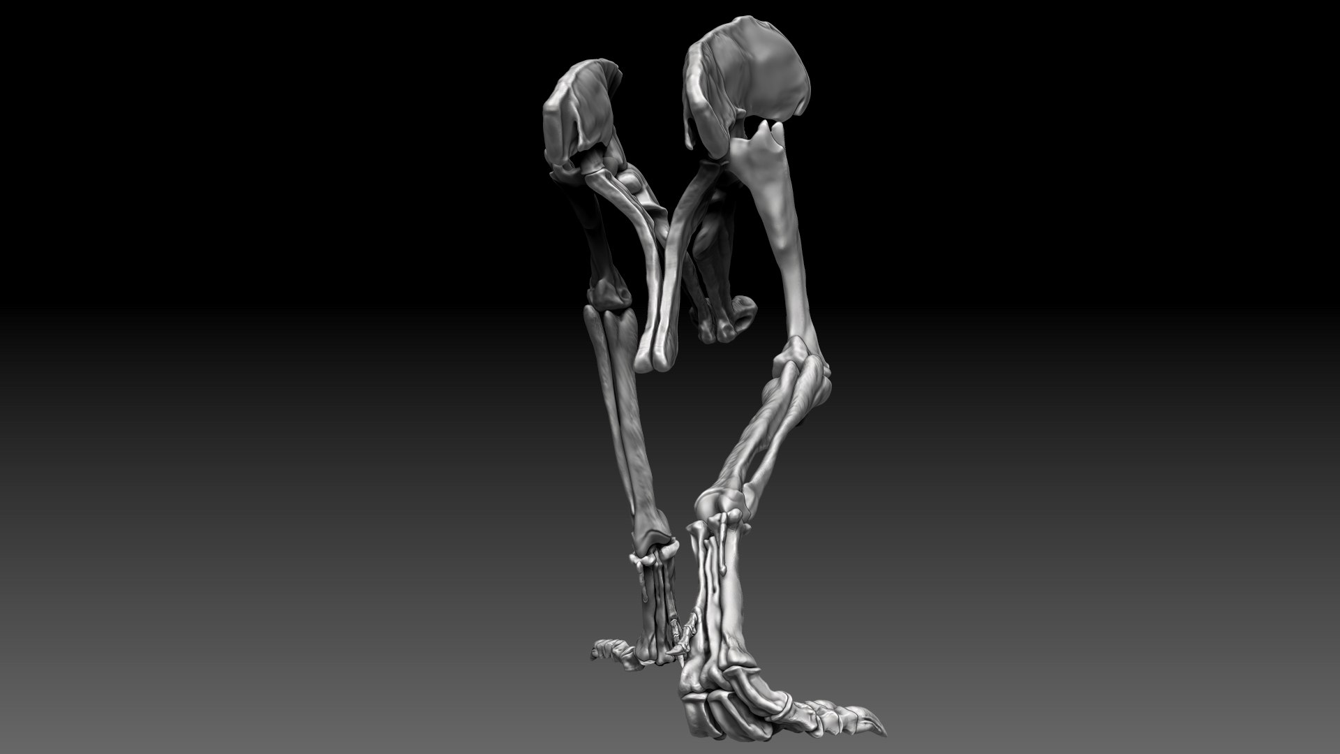 Spinosaurus 2020 version Hip Leg Set Skeletons Sculpt Project model ...