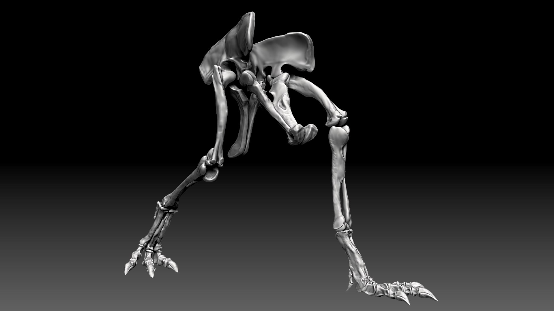 Spinosaurus 2020 version Hip Leg Set Skeletons Sculpt Project model ...