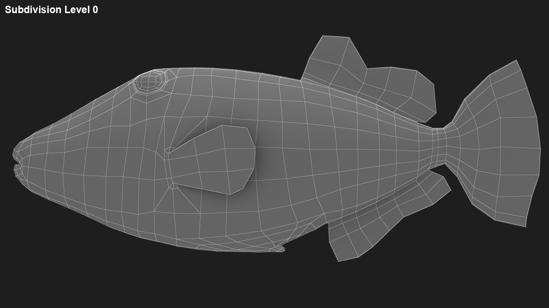 3D Model Triggerfish Animation Bones - TurboSquid 1508952
