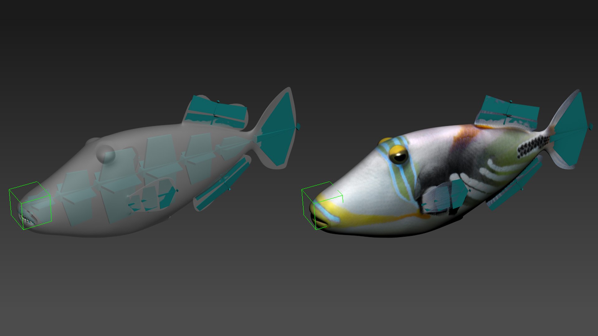 3D Model Triggerfish Animation Bones - TurboSquid 1508952