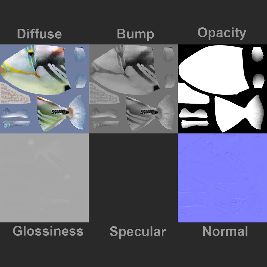 3D Model Triggerfish Animation Bones - TurboSquid 1508952