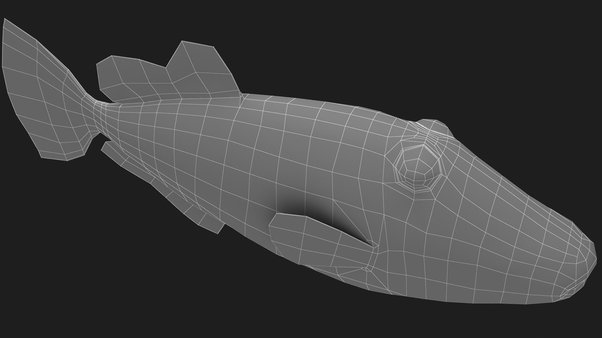 3D Model Triggerfish Animation Bones - TurboSquid 1508952