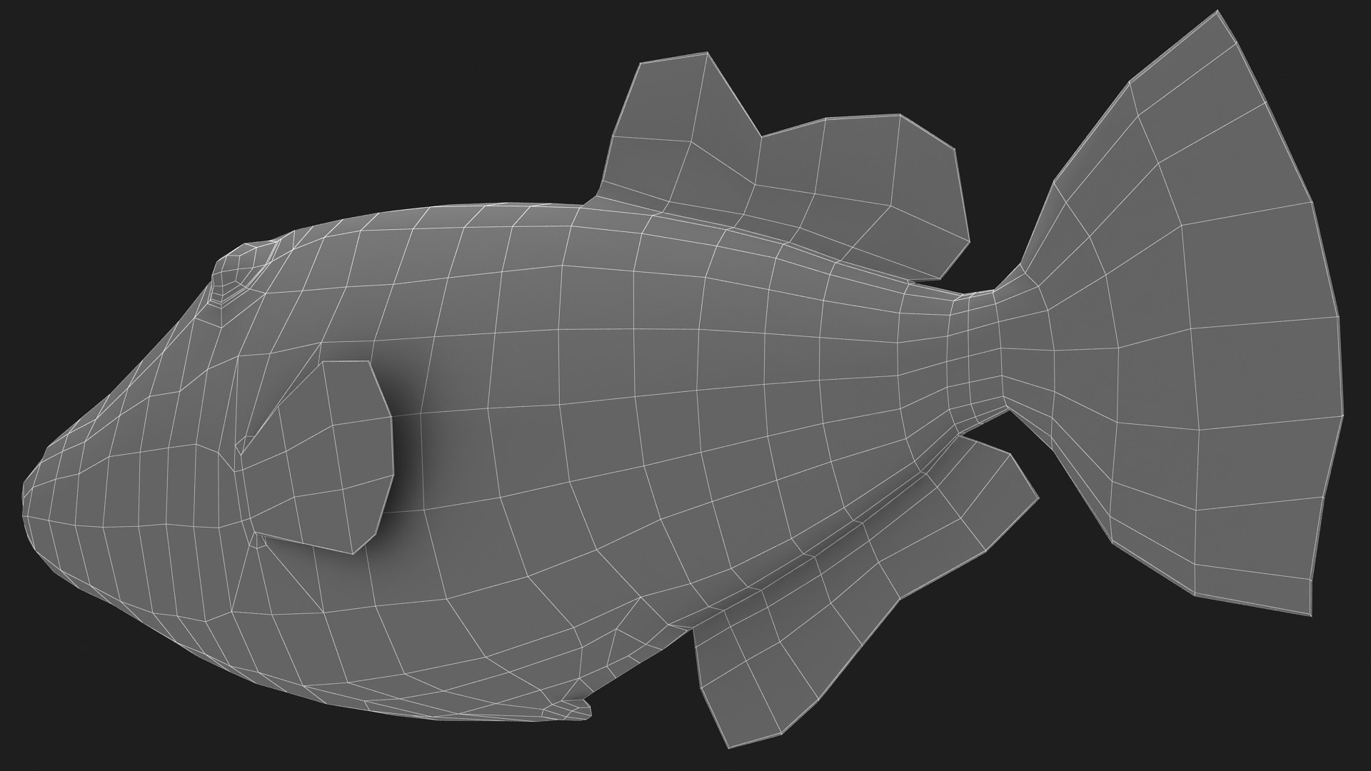 3D Model Triggerfish Animation Bones - TurboSquid 1508952