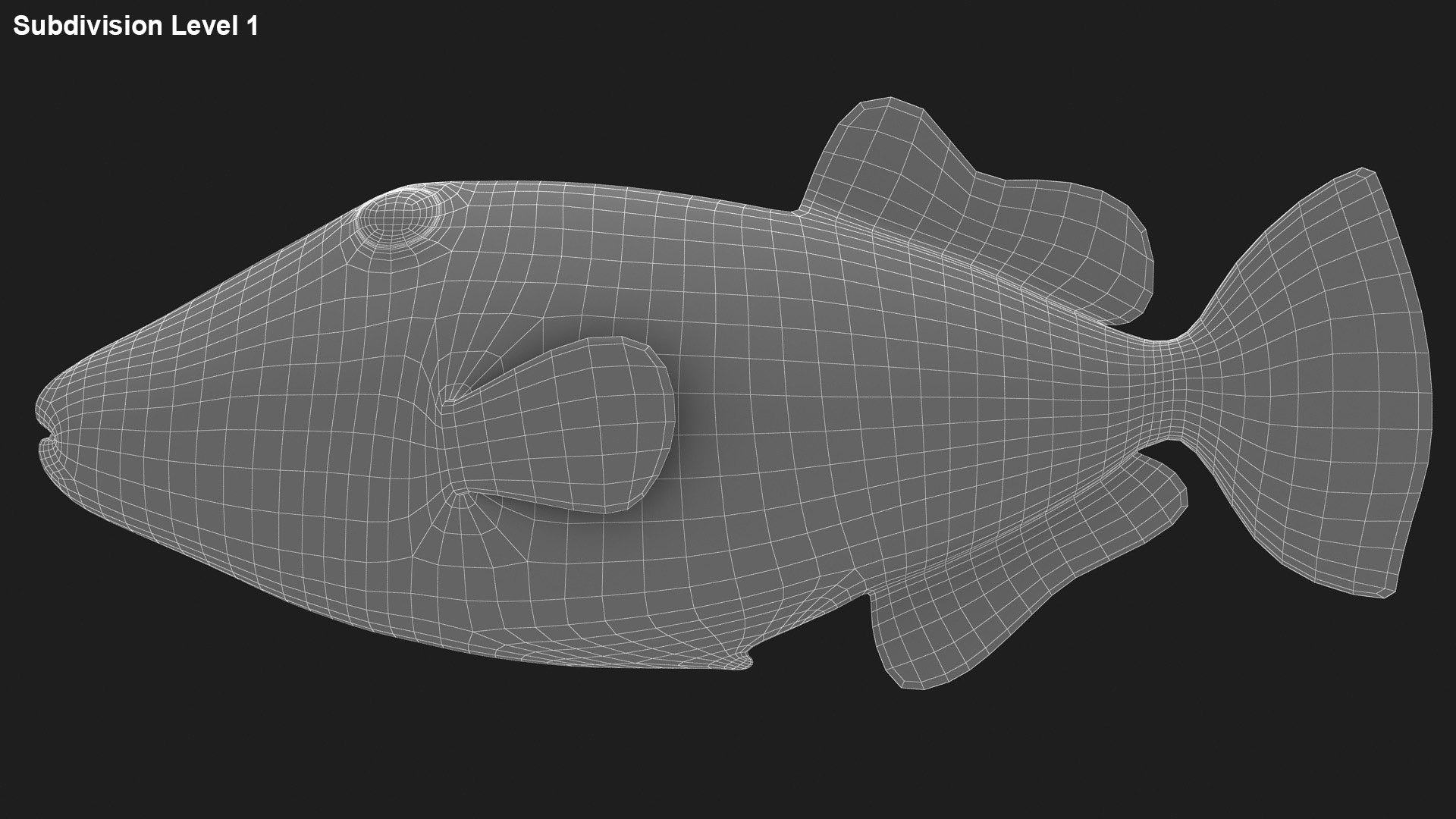 3D Model Triggerfish Animation Bones - TurboSquid 1508952