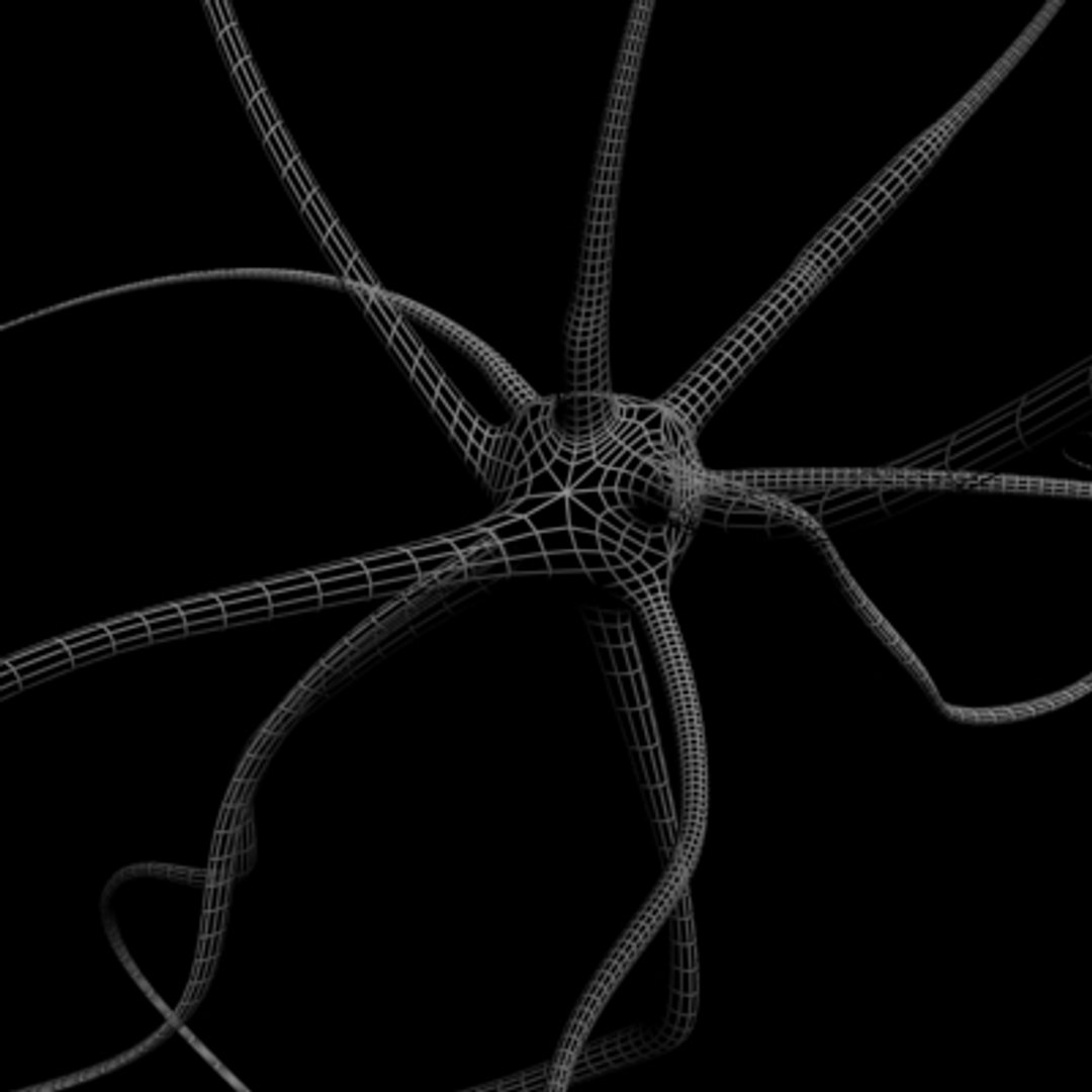Neuron Cell 3d Model