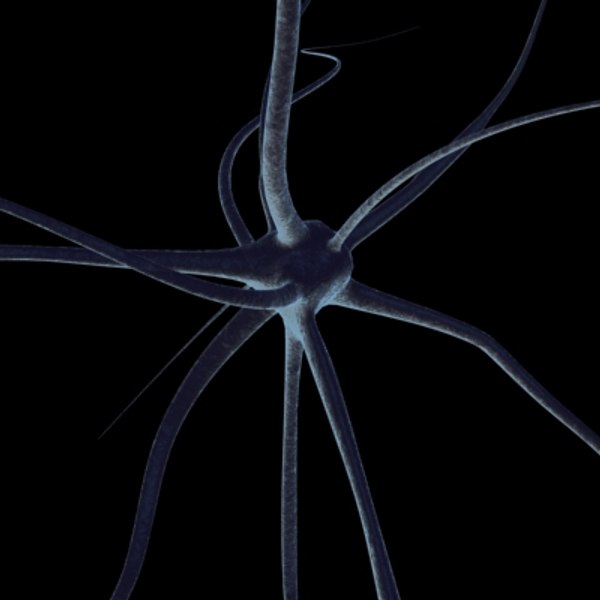 modelo 3d neuron.max - TurboSquid 344600