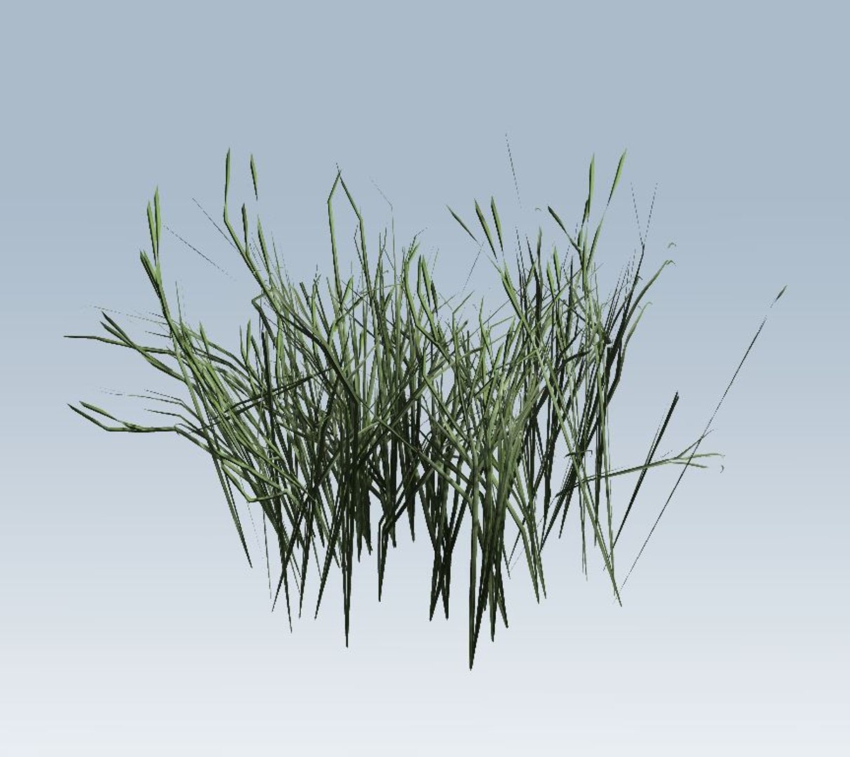Grass 3D Model - TurboSquid 1355414