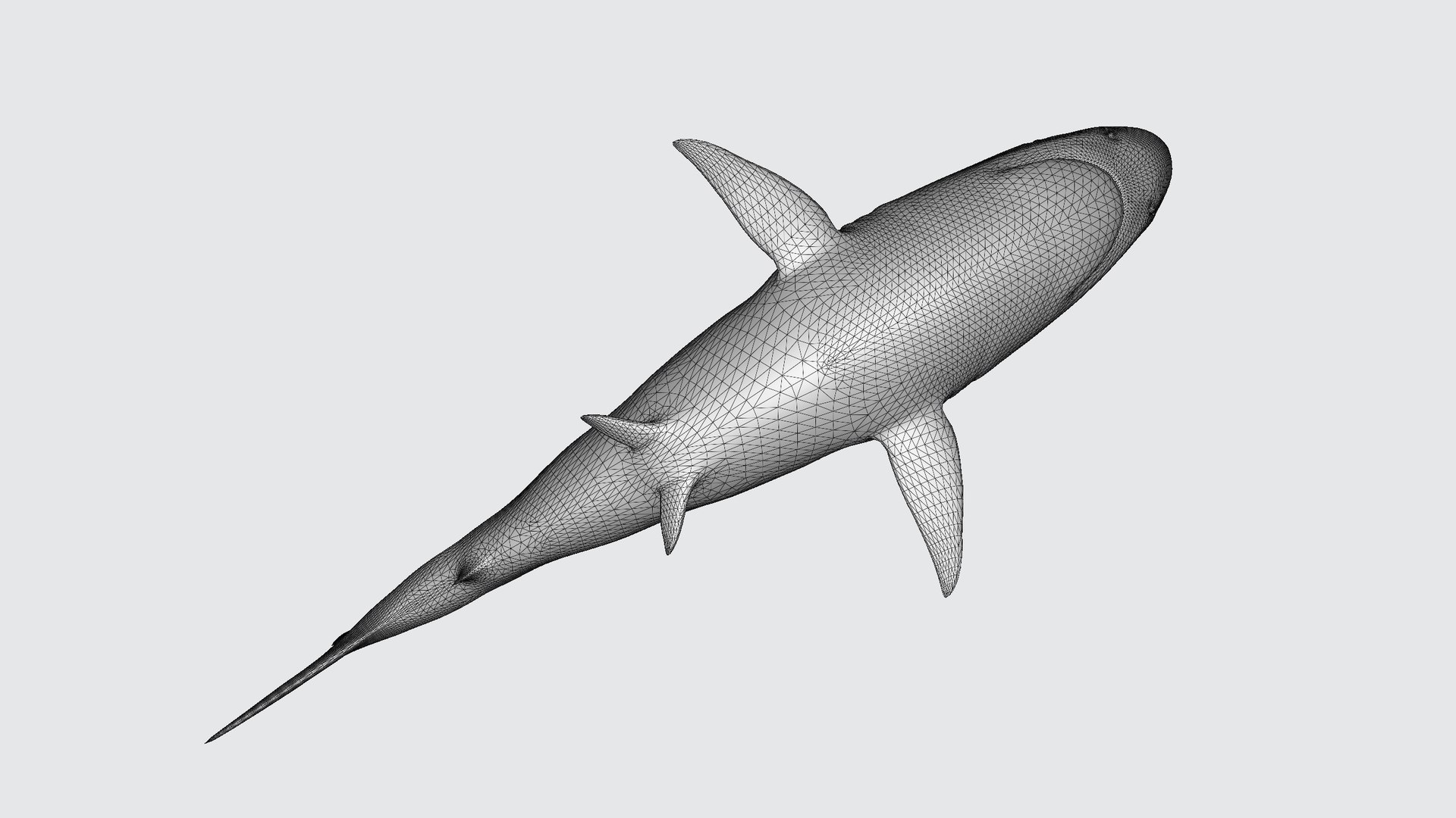 Shark 3D Model - TurboSquid 2300735