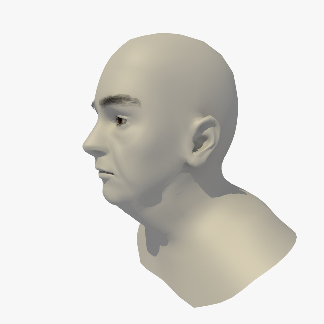 Realistic Head Base Mesh 3D Model - TurboSquid 1440278